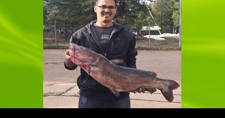 Lake Mary yields state record catfish | Sports | verdenews.com