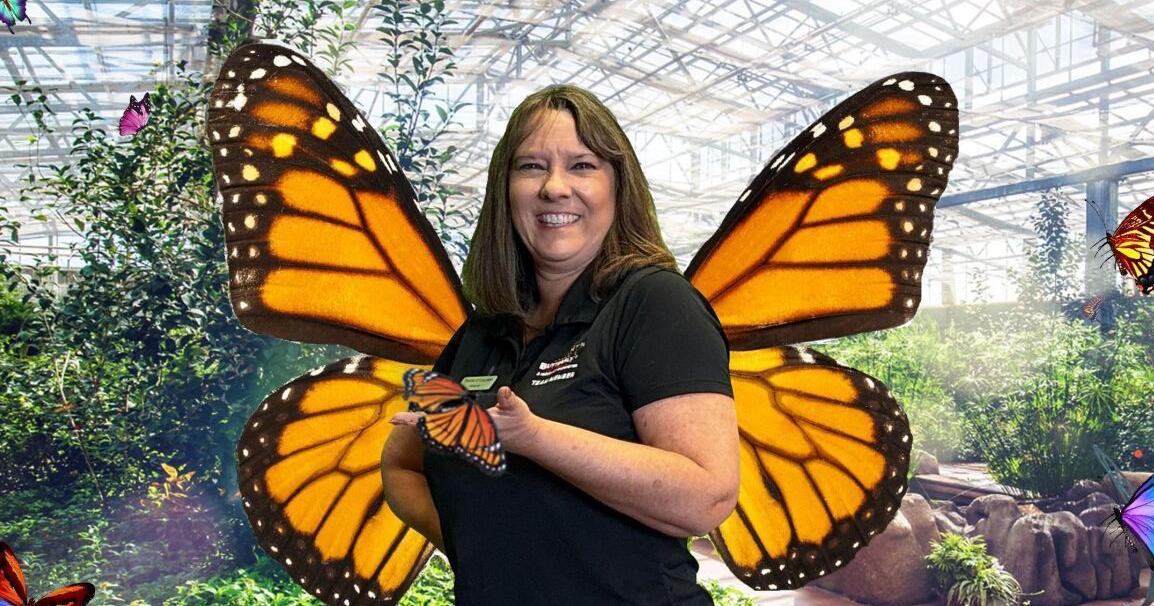 Learn all about butterflies at BENA's Chapter Meeting | Kudos ...