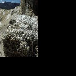 A taste of seasons past at the Camp Verde Salt Mine | Features ...