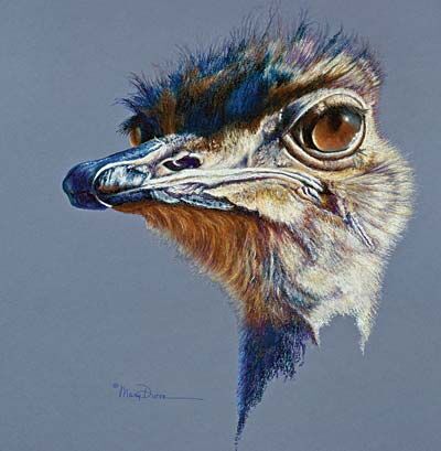 Artist Mary Dove, master of detail | Art | verdenews.com