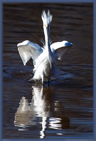 no fear | Features | verdenews.com