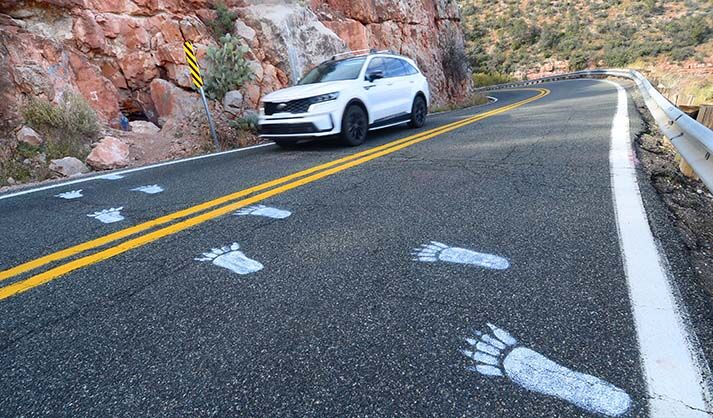 Bigfoot steps sighted on Mingus | News | verdenews.com