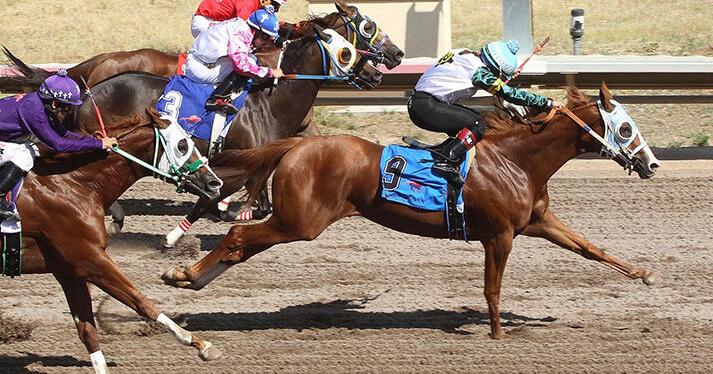 Arizona Downs kicks off 2022 summer season with live racing on Mondays ...