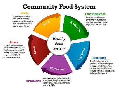 Gardens for Humanity: Creating a Healthy Local Food System | Villager ...