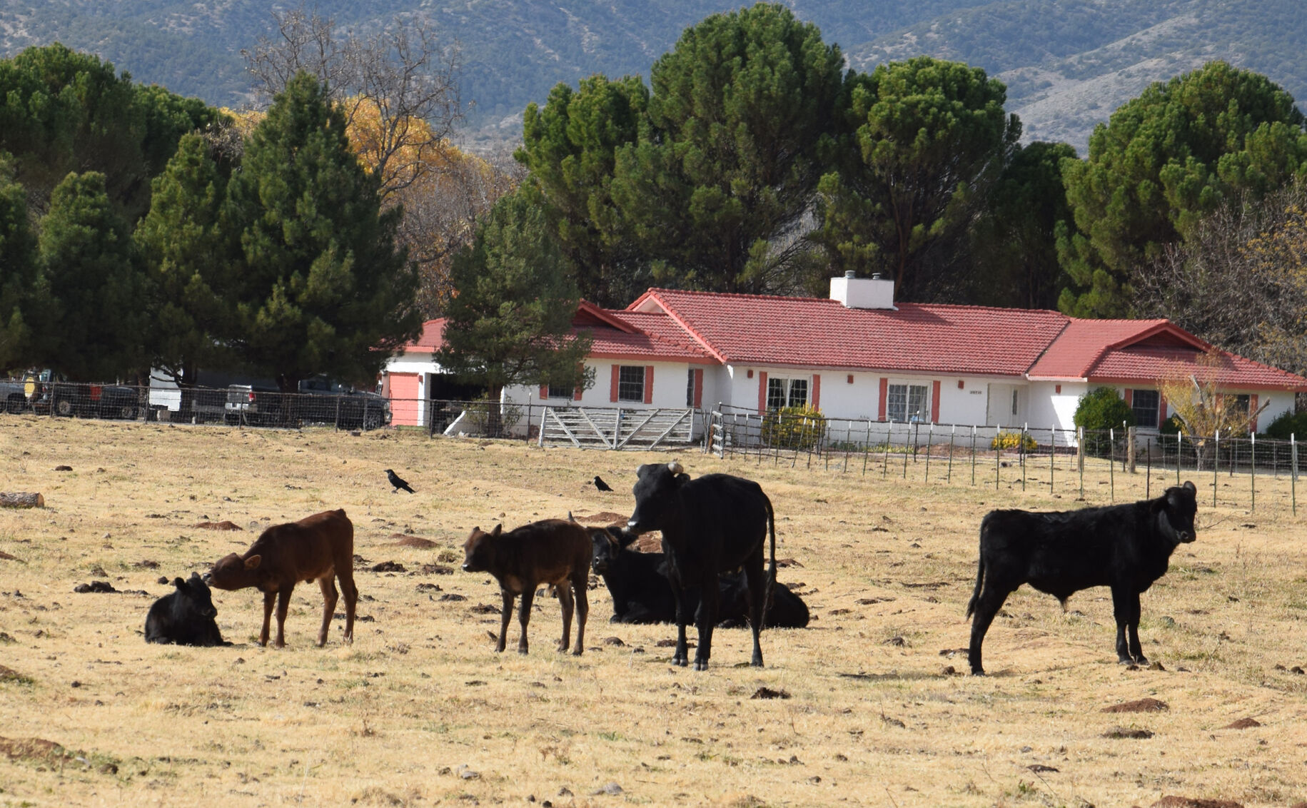 Yavapai County Cooperative Extension: A brief introduction into ...