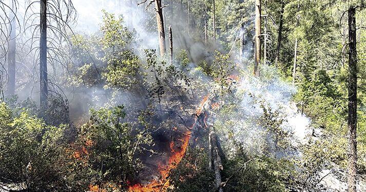 Miller Fire spreads in Red Rock district | News | verdenews.com