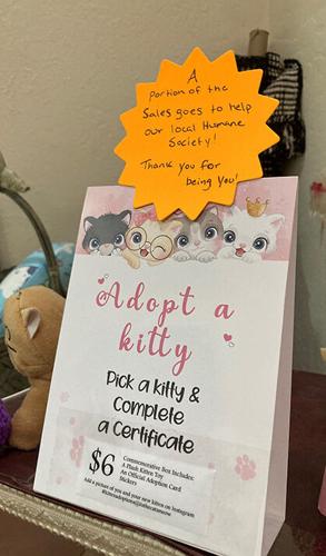 One year in, new owners looking to expand Cat’s Meow | Features ...