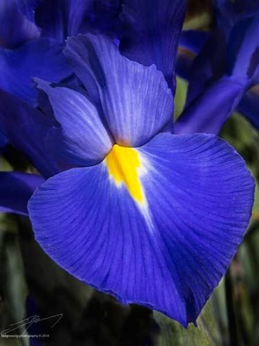 The competition is fierce | Features | verdenews.com