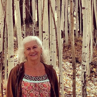 Janice Davis opens art display through summer in Jerome | Kudos ...