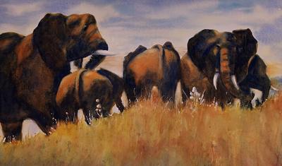 NAWS Exhibits at Sedona Public Library | Kudos | verdenews.com