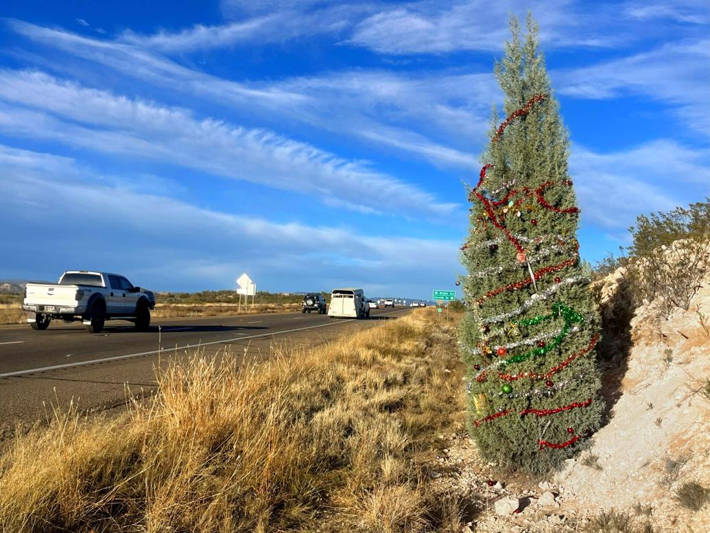 Decorated wild Christmas trees cheer up motorists | News | verdenews.com