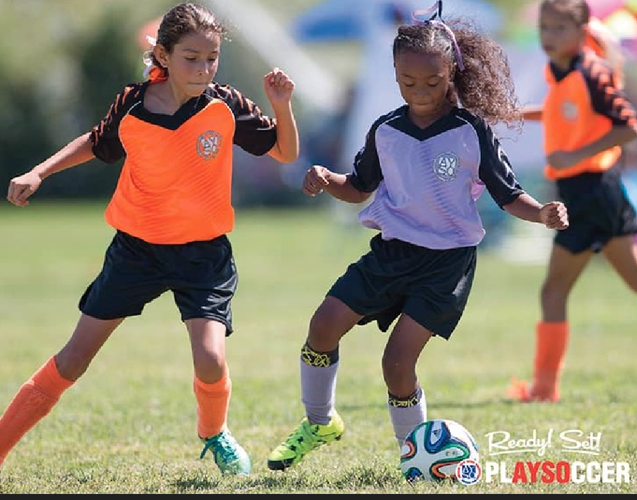 AYSO early registration still open, season to start end of summer ...