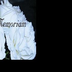 Obituary: Tracey Downes | Obituaries | verdenews.com