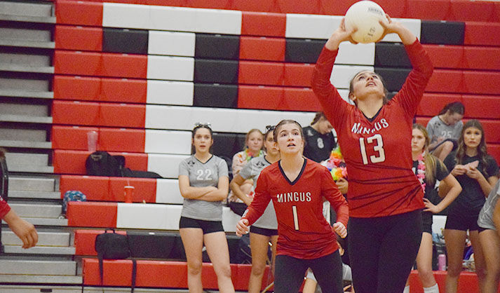 Mingus volleyball off to a hot start | Features | verdenews.com