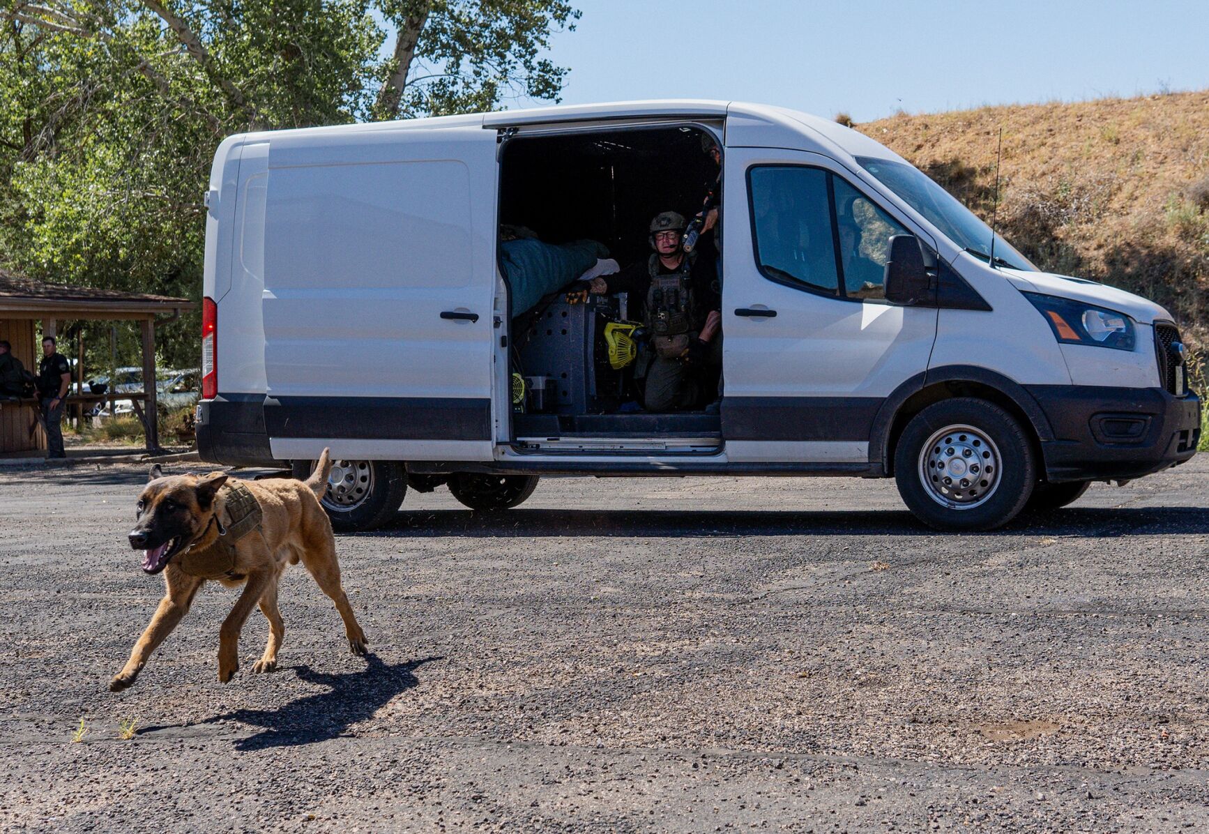 K9 units learn to work with local SWAT teams | News | verdenews.com