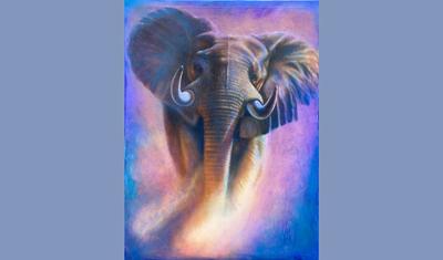 Sedona Renegades Artist Group Features Elizabeth Silk and Supports ...