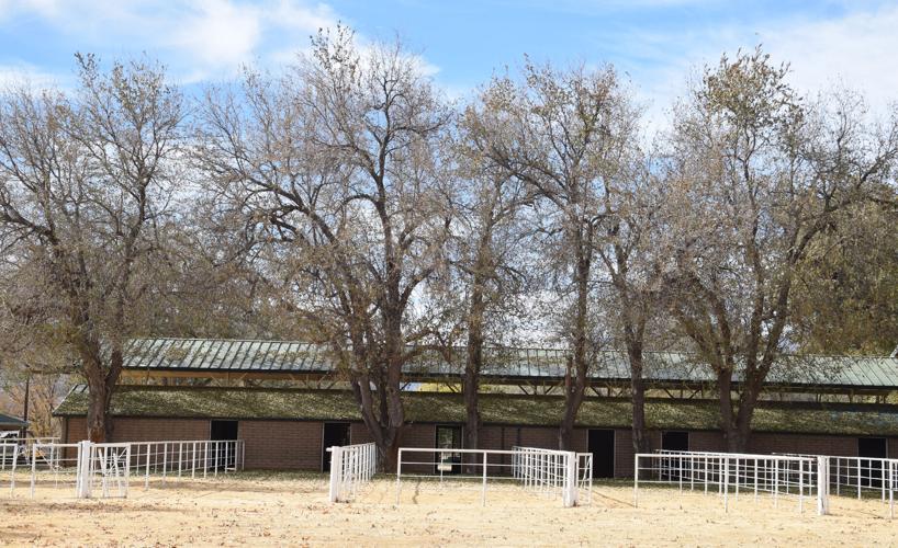 University of Arizona Moves to Expand Agriculture Programs at Cornville's DK Ranch | Local ...