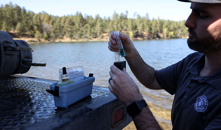 IN PHOTOS: Arizona Game & Fish restocks lakes from Page Springs ...