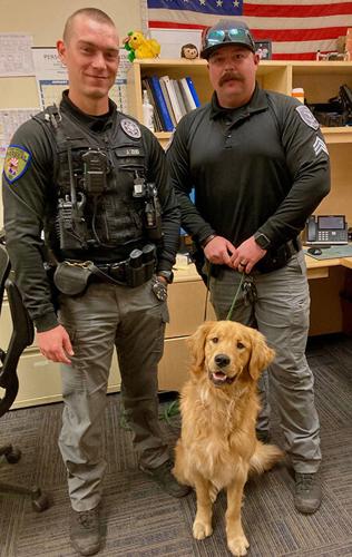 Camp Verde Marshal’s Office welcomes 4-legged officer | Camp Verde ...