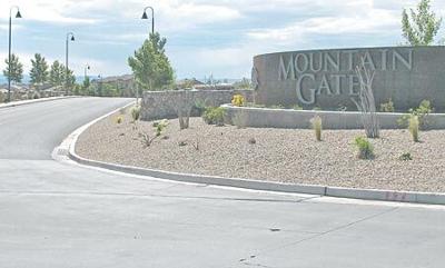 Mountain Gate parent company files for bankruptcy protection | News ...