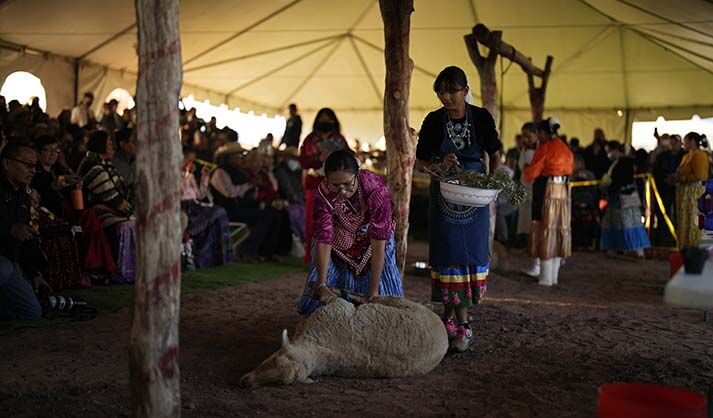 Navajo sheep herding at risk from climate change. Some young people ...