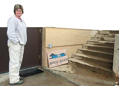 Jerome artist Sally Dryer doubles as Humane Society volunteer ... and ...