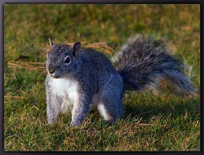 Laying claim | Features | verdenews.com