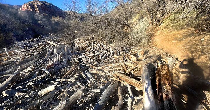 Reopened Parsons Trail reminder of Rafael Fire | News | verdenews.com