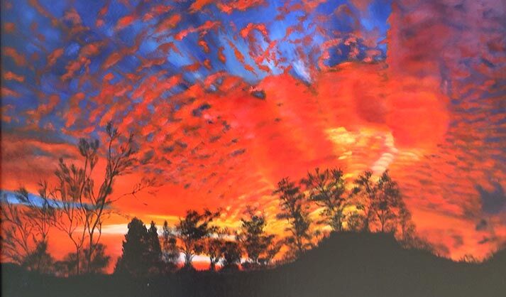 Painter Jodie Ball featured artist at Village Gallery | Kudos ...