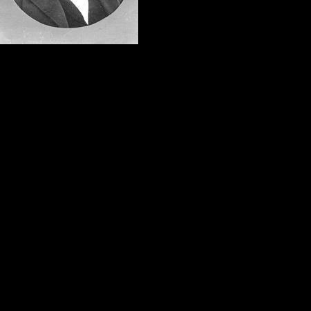 King Woolsey in the Verde | Features | verdenews.com