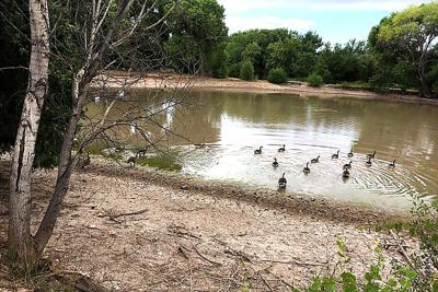Camp Verde looks at Verde Lakes Ponds as new municipal park | Camp ...