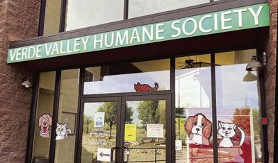 Verde Valley Humane Society struggling for funds | News | verdenews.com