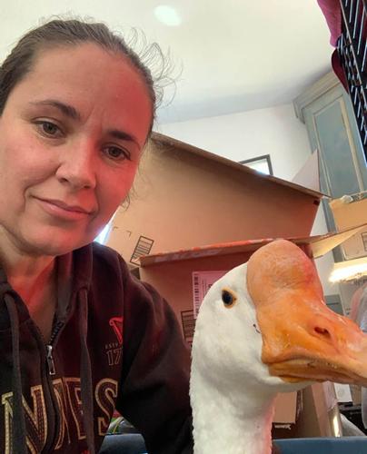 Verde Village, to the public: Stop leaving domesticated birds at pond ...