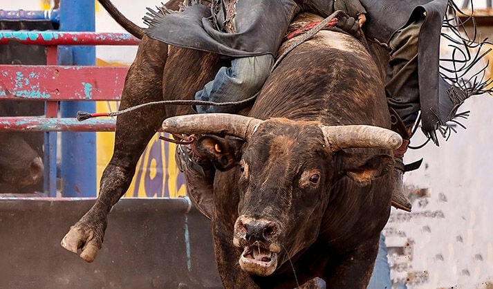 Turquoise Circuit Pro Rodeo returns for two days of fun in Camp Verde ...