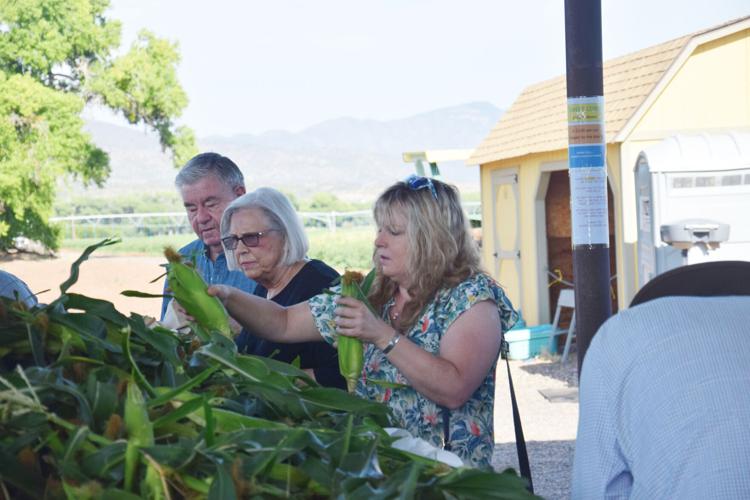 'The corn and mother nature are in charge': Hauser & Hauser Farms opens ...