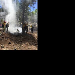 Fire on Mingus Mountain quickly brought under control | News ...