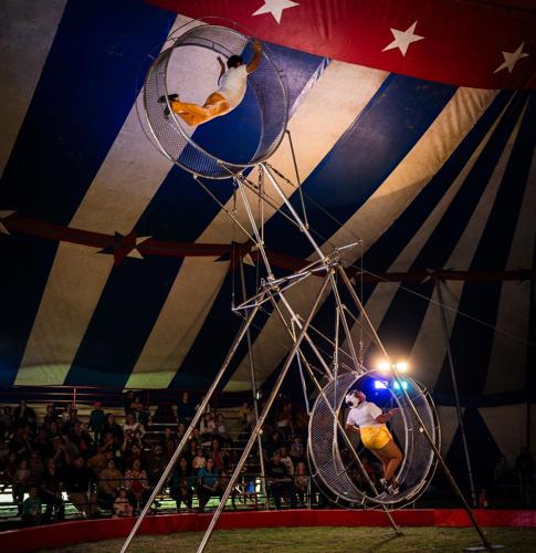 Culpepper & Merriweather to raise the big tent April 29-30 | News ...