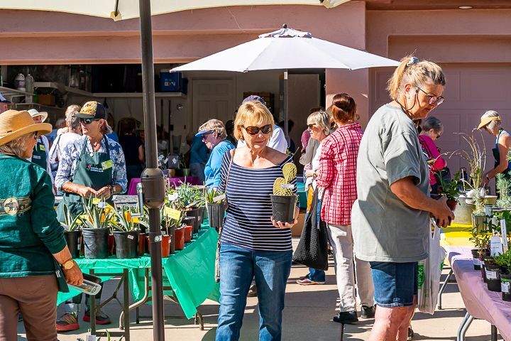 NEED 2 KNOW | News | verdenews.com