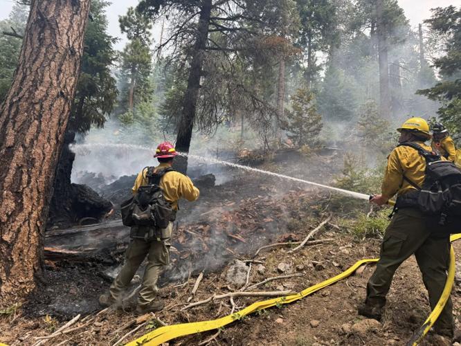 Containment increases on White Sage Fire; more firefighters shift to ...