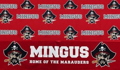 Mingus wrestling opens with double duals wins | Sports | verdenews.com