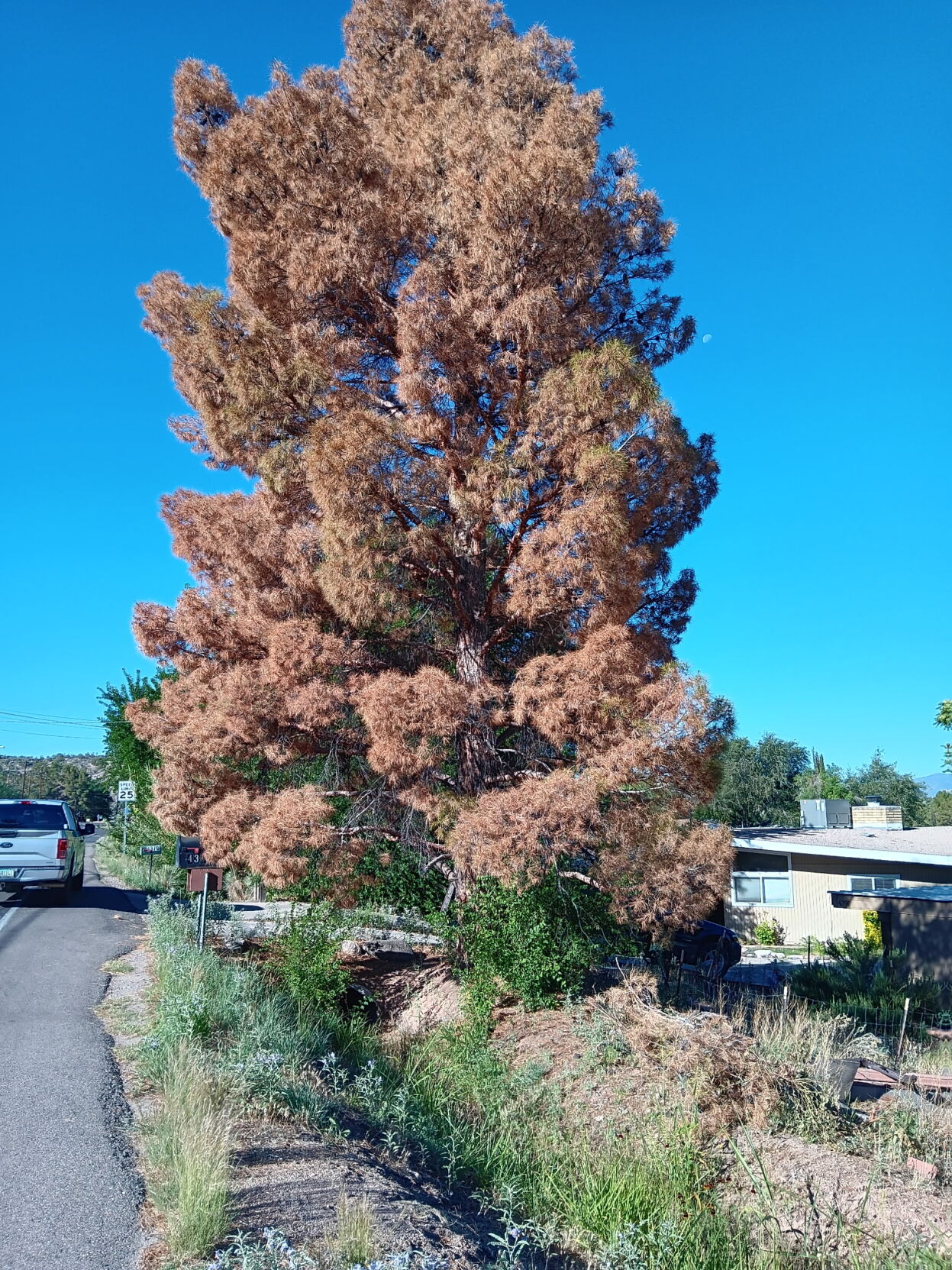 Sedona Vineyards' collapse puts Lake Montezuma in limbo | News | verdenews.com
