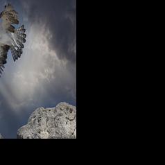 SIFF hosts Ted Grussing photographic program March 25-26 | Kudos ...