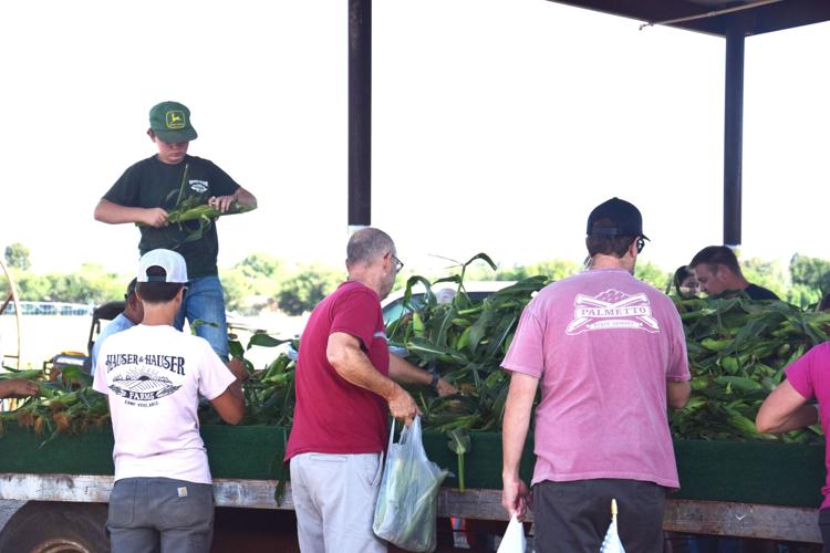 'The corn and mother nature are in charge': Hauser & Hauser Farms opens ...