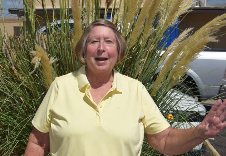 Ann Shaw: Cottonwood's next mayor says, 'I'm not a big hugger, but I'm ...