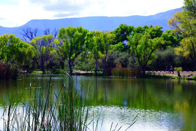 Verde River Day fun continues despite the rain | Local | verdenews.com