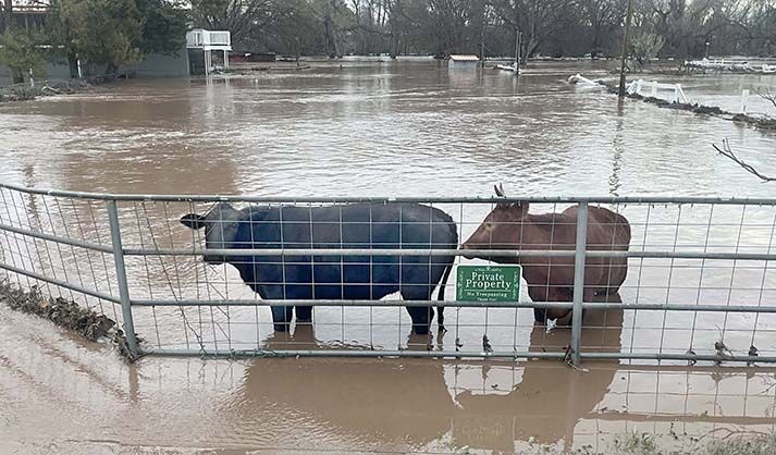 Verde River surging after creeks flood neighborhoods | Camp Verde Bugle ...