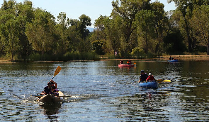 Go with the flow at Verde River Day at Dead Horse Ranch | Kudos | verdenews.com