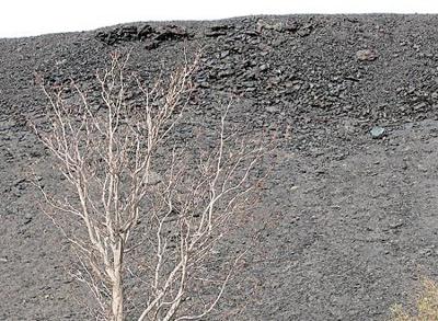 Slag pile on its way out | News | verdenews.com