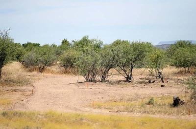 Verde Valley Archaeology Center asks Camp Verde for $150,000 | Camp ...