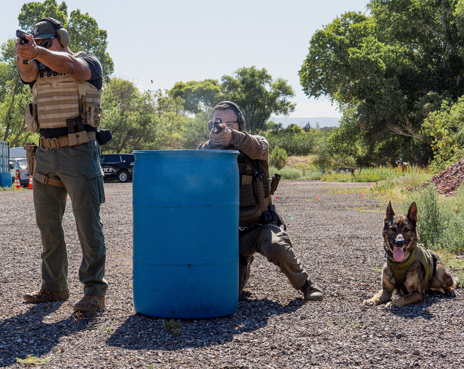 K9 units learn to work with local SWAT teams | News | verdenews.com